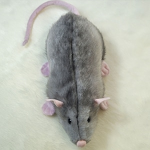 Dumbo Rat Plush, Stuffed Gray Rat, Realistic Animals - Etsy