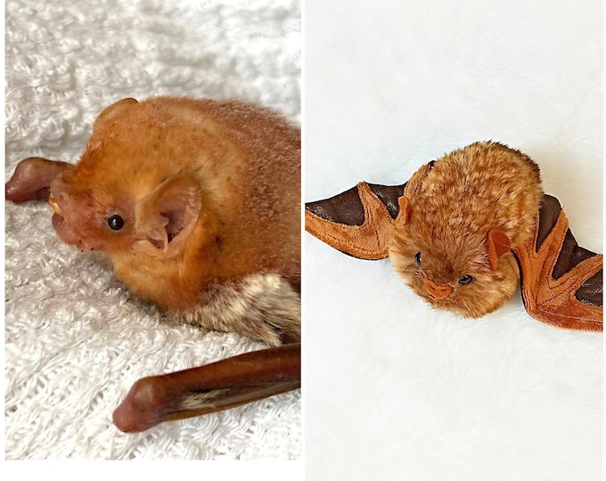Bat Plush, Eastern Red Bat, Cute Plush - Etsy