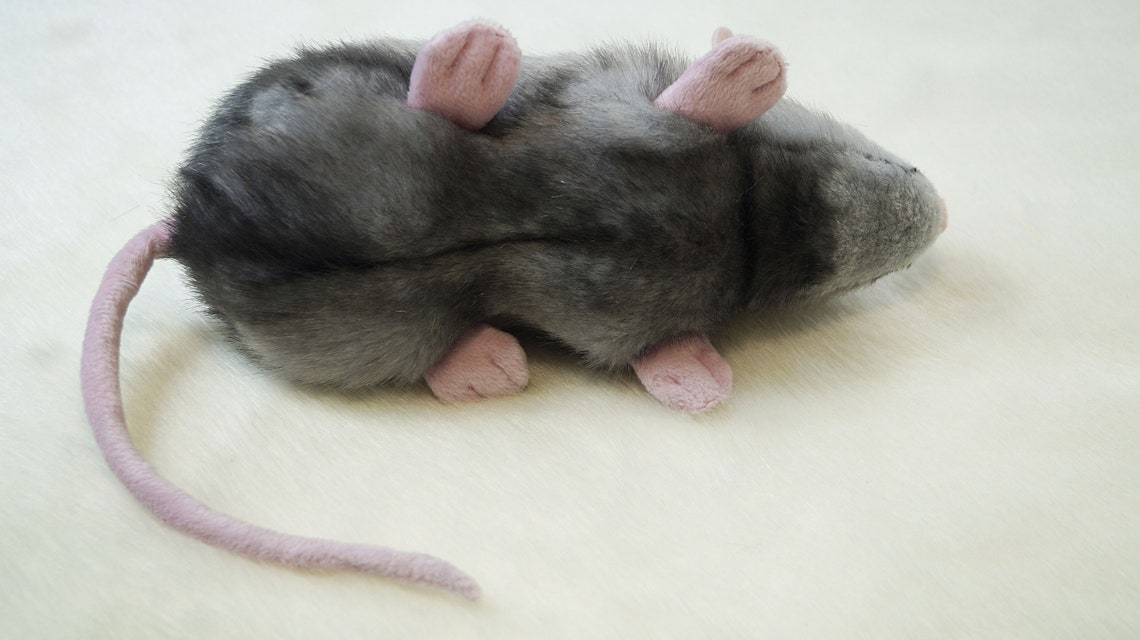 Dumbo Rat Plush Stuffed Gray Rat Realistic animals | Etsy