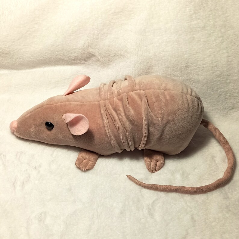 Rat Plush Hairless Rat Pinky Sphinx Rats Original Gift - Etsy