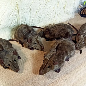 Realistic Rat Plush, Stuffed Rat - Etsy