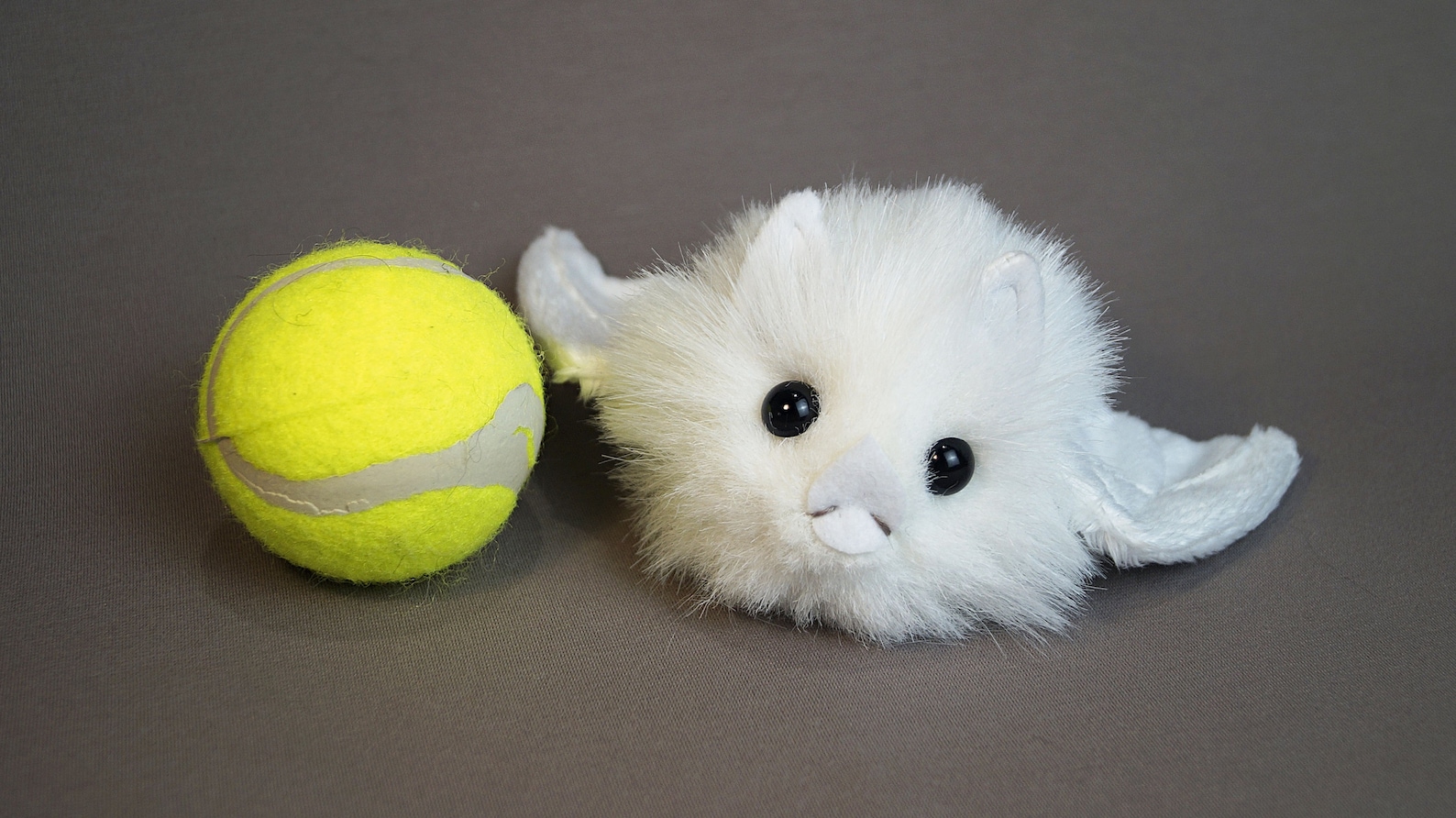 Bat Plush Cute Albino Bat Stuffed Animal - Etsy Canada