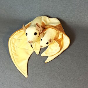 Bat Plush, Stellaluna Bat, Cute Plush - Etsy