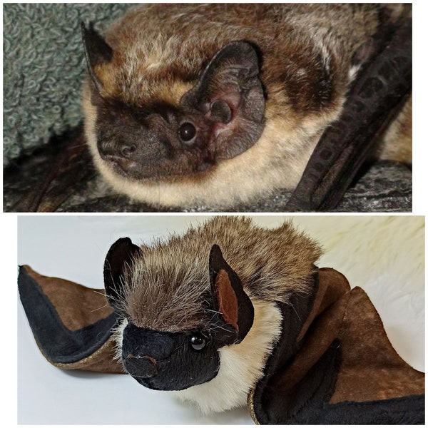 Realistic Bat - Etsy