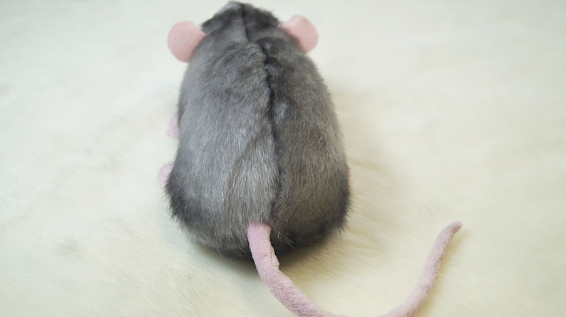 Dumbo Rat Plush Stuffed Gray Rat Realistic animals | Etsy