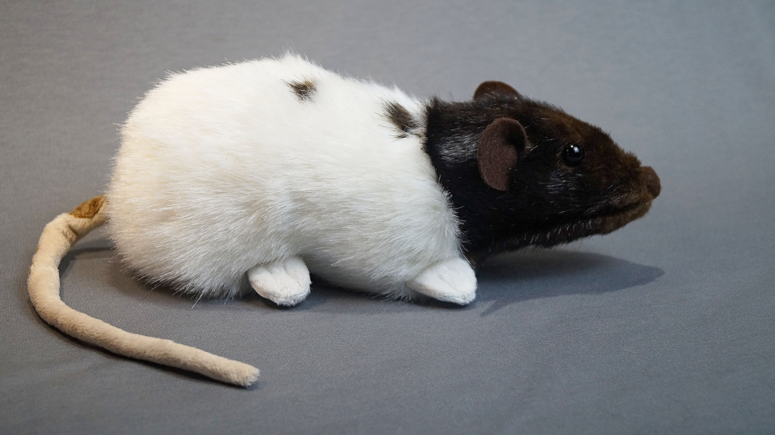 Realistic Rat Plush Stuffed Rat - Etsy UK