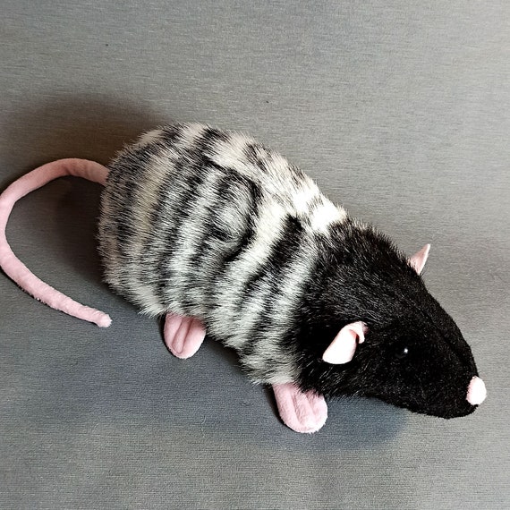 Stuffed Rat Realistic Rat Plush - Etsy