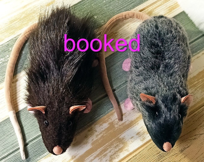 Stuffed Rat, Realistic Rat Plush, Custom Order - Etsy