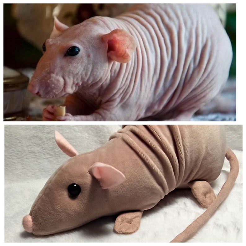 Rat Plush Hairless Rat Pinky Sphinx Rats Original Gift - Etsy