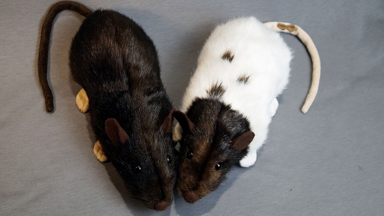 Realistic Rat Plush Stuffed Rat - Etsy