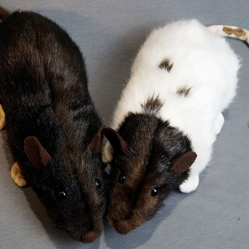 Plush Black Realistic Fake Lifelike Mouse Rat Gift Adoption | Etsy
