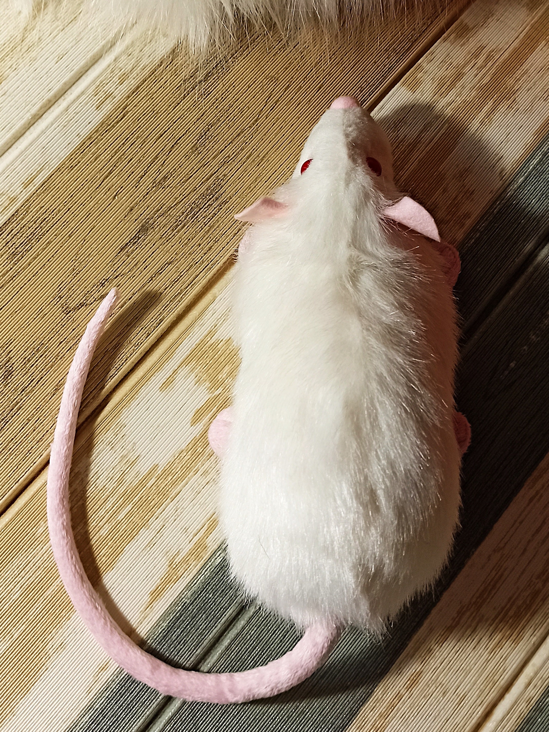 Albino White Rat Plush, Faux Mink Fur Toy, Realistic Stuffed Animal - Etsy