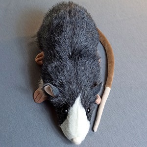 Rat Plush, Blazed Berkshire Rat - Etsy