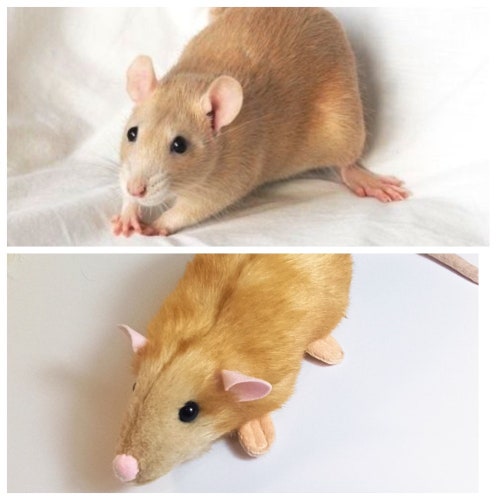 Dumbo Rat Plush Stuffed Gray Rat Realistic Animals - Etsy
