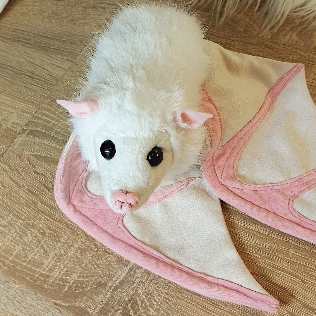 Bat Plush, Albino Flying Fox, Realistic Bat - Etsy