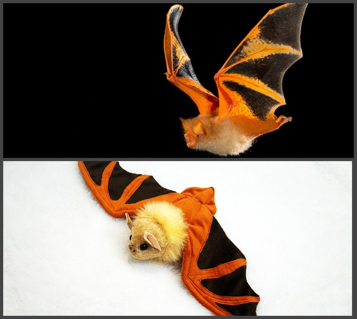 Bat Plush Bat Butterfly Soft Bat Toy Bat Lovers - Etsy