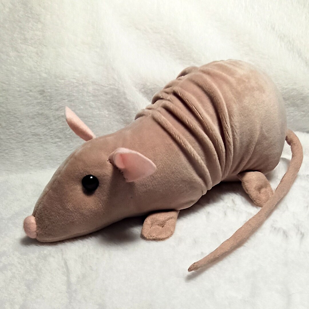 Rat Plush Hairless Rat Pinky Sphinx Rats Original Gift Etsy UK