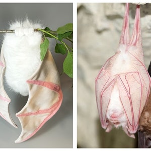 Bat Plush, Albino Flying Fox, Realistic Bat - Etsy