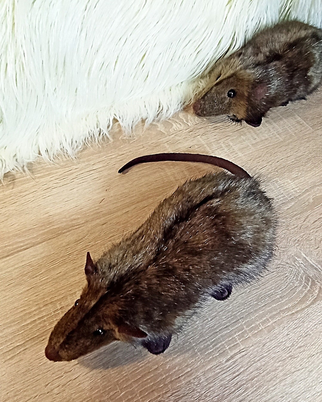 Realistic Rat Plush, Stuffed Rat - Etsy