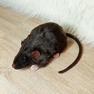 Stuffed Rat Realistic Rat Plush - Etsy