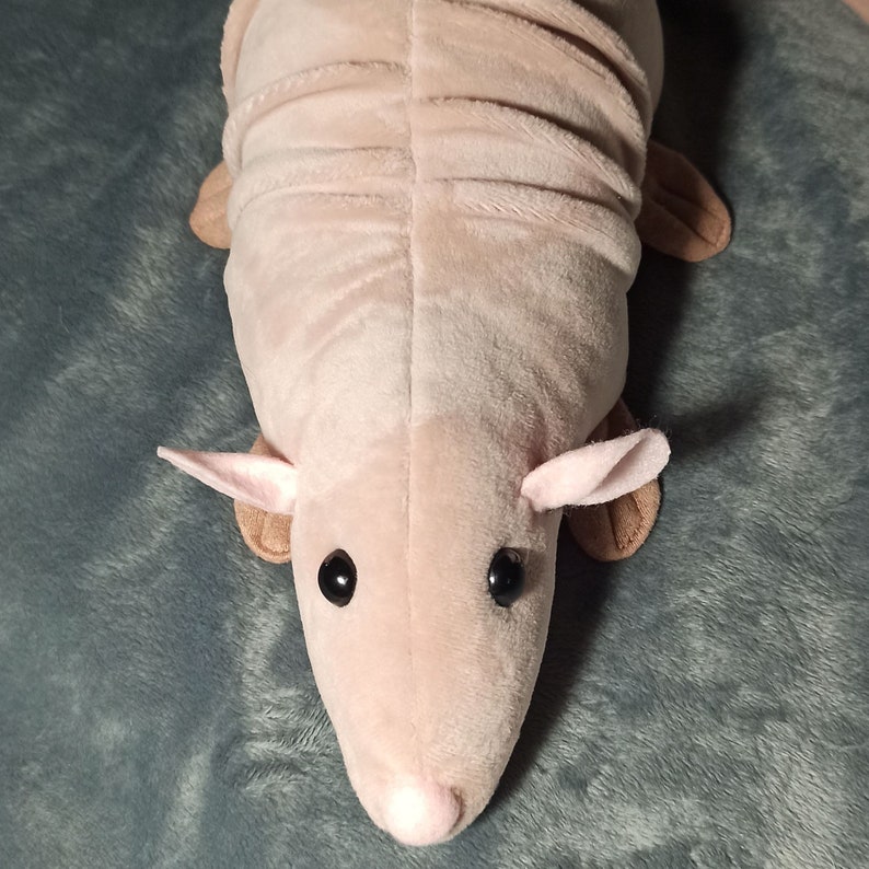 Rat Plush, Hairless Rat Pinky, Sphinx Rats, Original Gift - Etsy