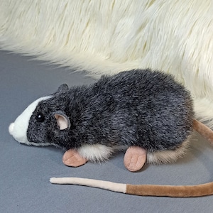 Rat Plush, Blazed Berkshire Rat - Etsy