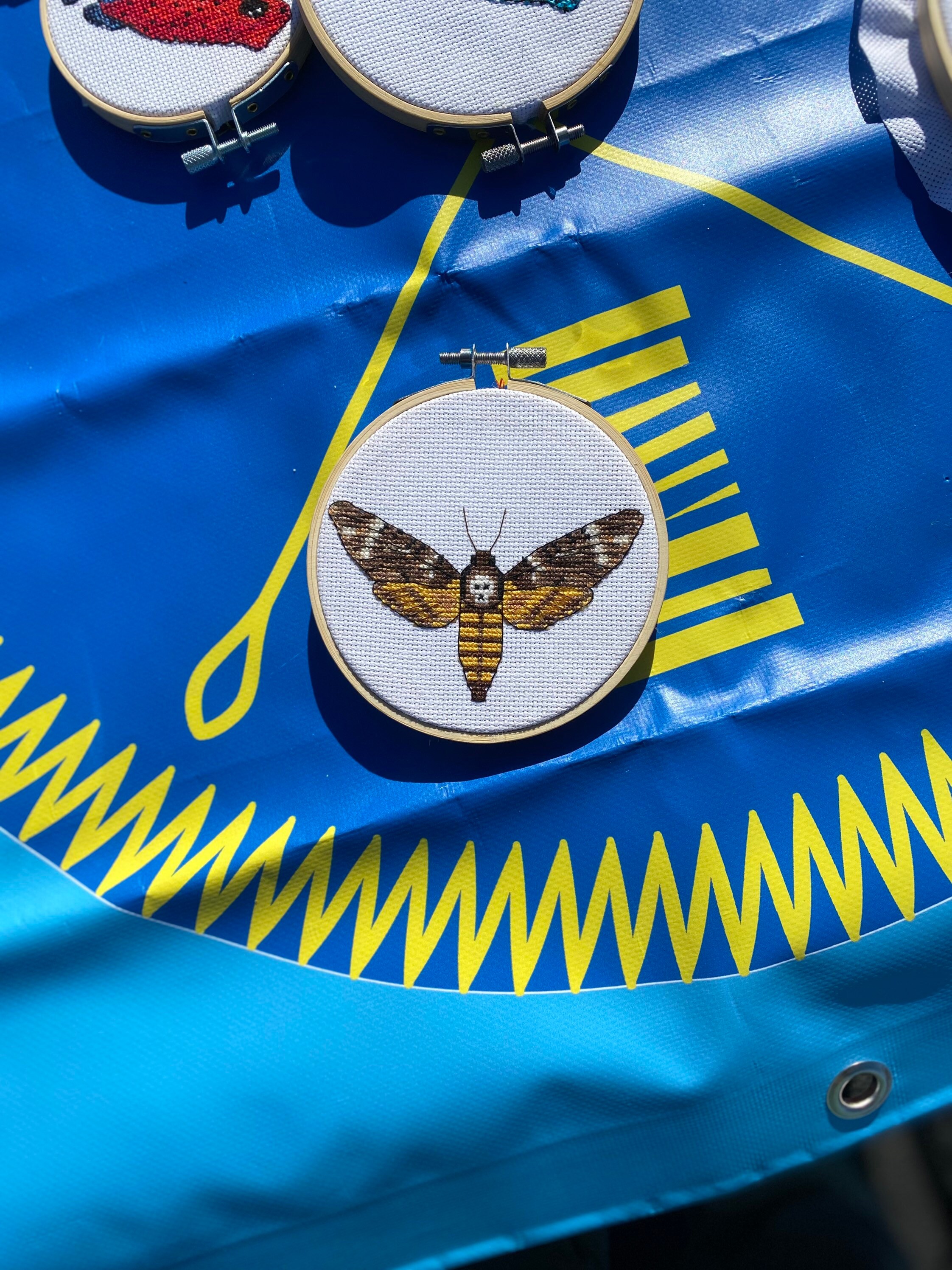 Death's Head Hawk Moth Sphinx Moth Insect Scientific - Etsy