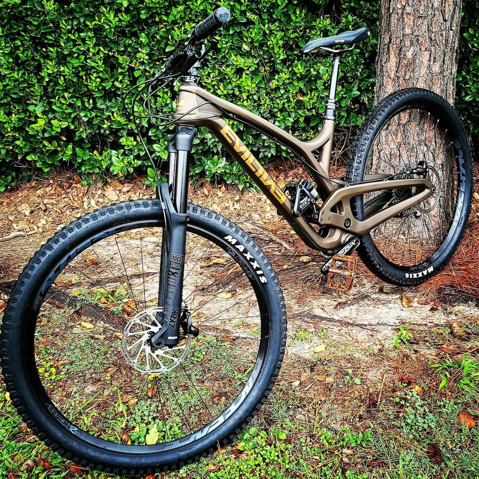 Custom Evil Bikes Frame Decals Stickers. Made From High | Etsy