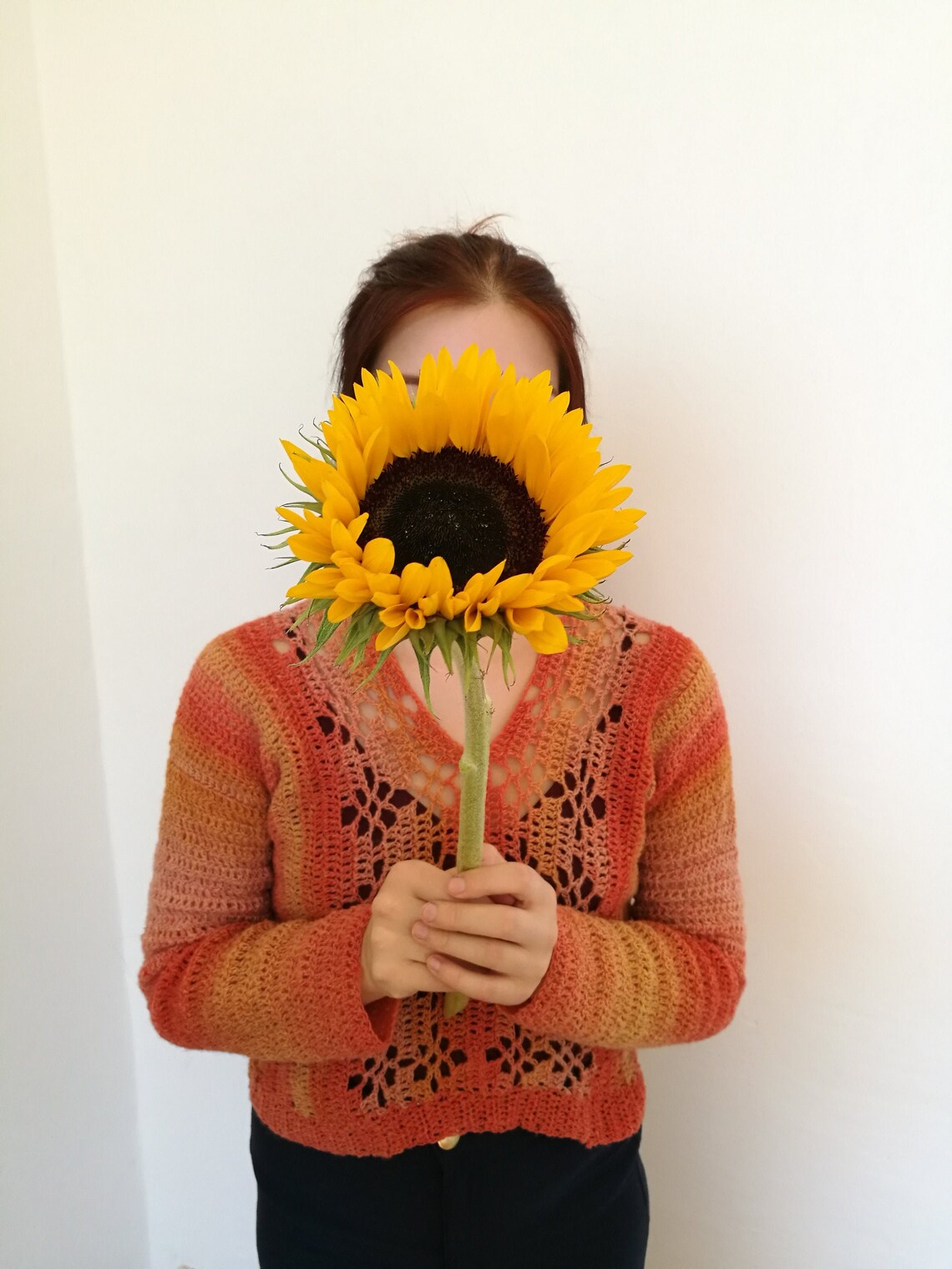 Lace Checkered Sweater/ Crochet Pattern for a Sweater/ Cropped | Etsy