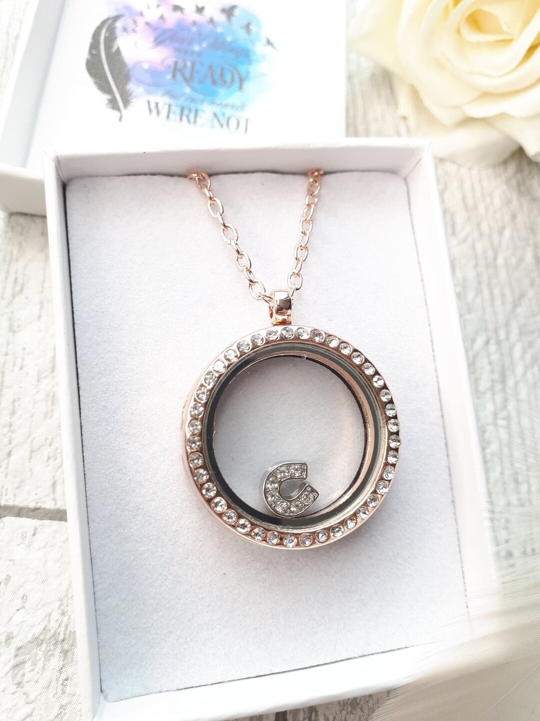Glass Keepsake, Locket Necklace, Floating Memory Pet Hair Locket, Dog ...
