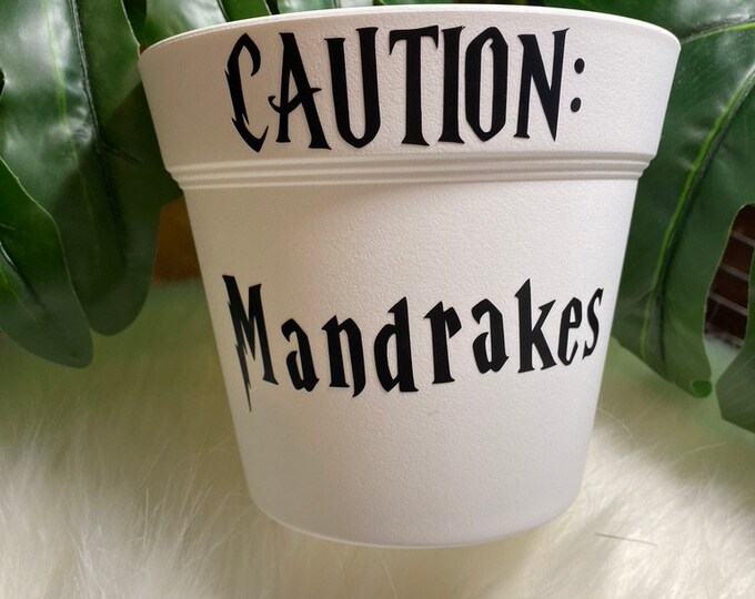 Wizard Planters - Etsy