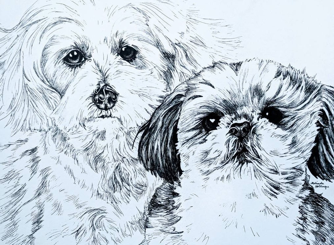 Pen and Ink Pet Portraits. Personalized Ink Drawings of Your Pet - Etsy
