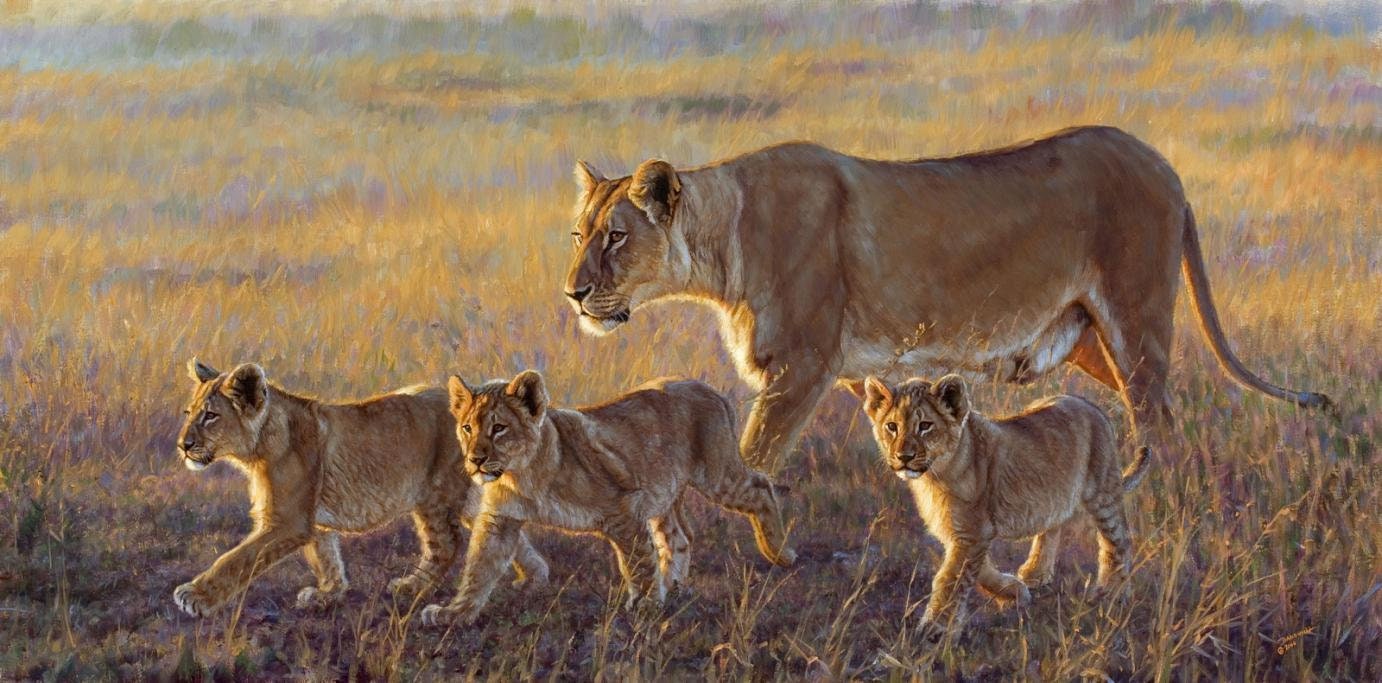 African Wildlife Jigsaw Puzzle - Joining the Pride - 500 Pcs - Etsy UK