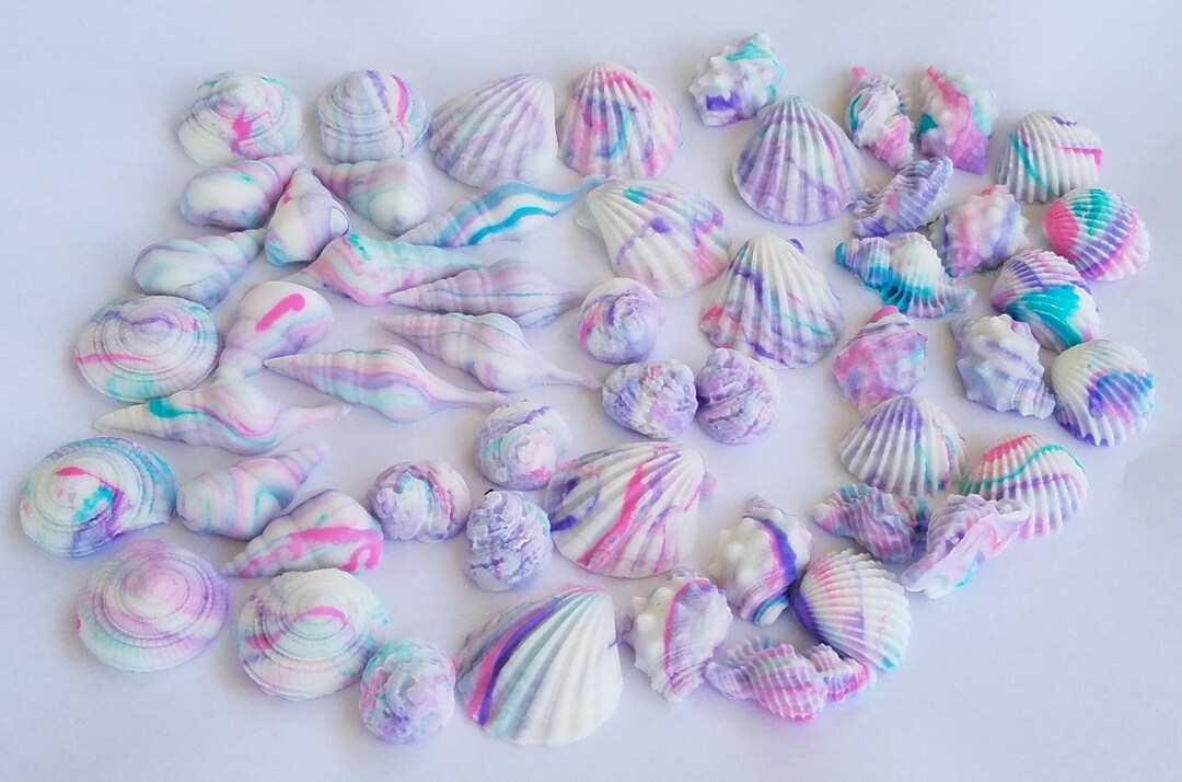 Fondant Sea Shells assorted Pcs - Etsy
