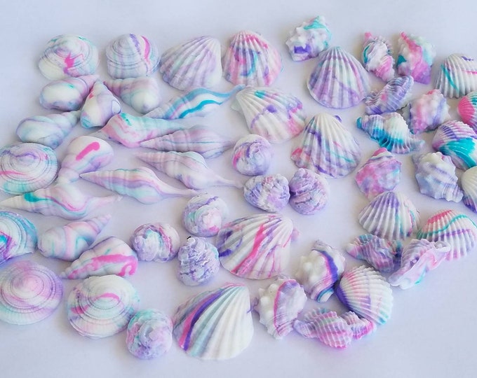 Fondant Sea Shells assorted Pcs | Etsy