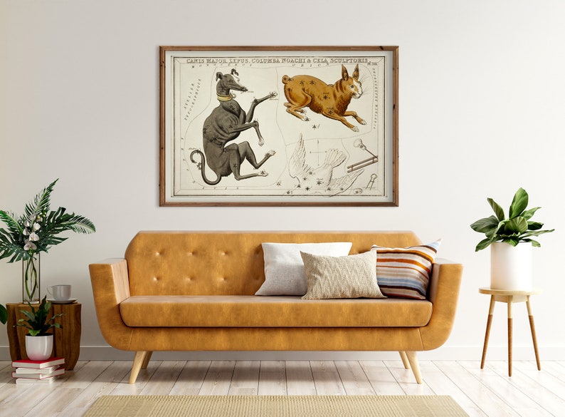 Astronomical Chart Illustration of the Canis Major, Lepus, Columba ...