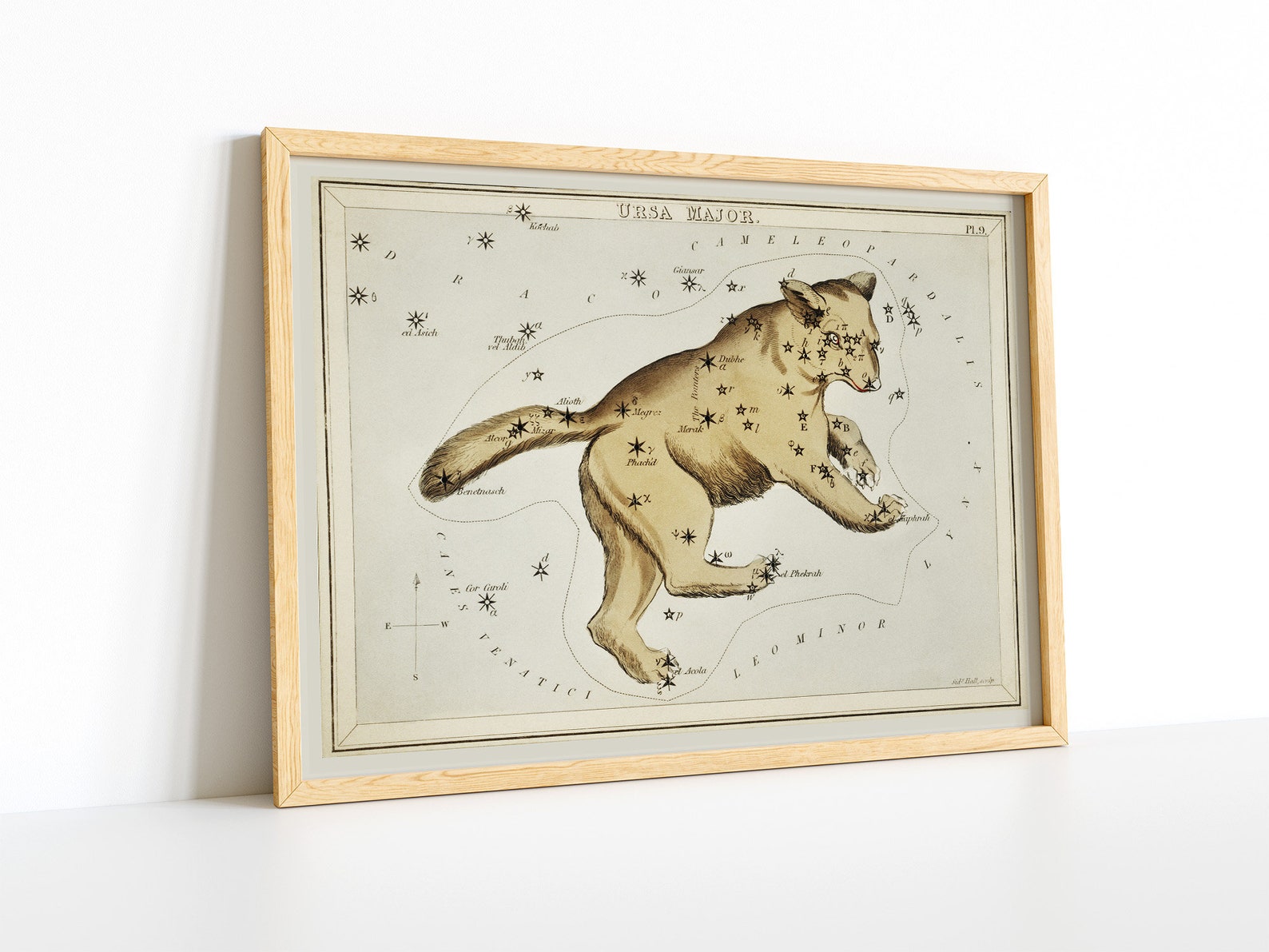 Astronomical Chart Illustration of the Ursa Major Sidney Hal - Etsy