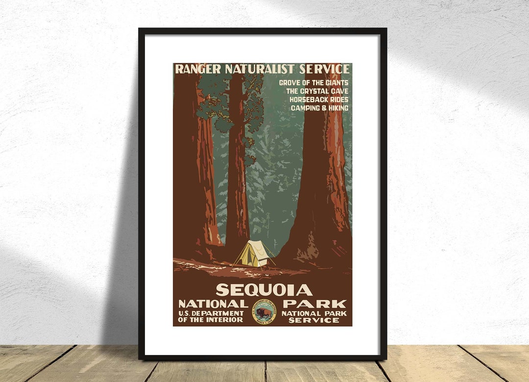 Sequoia National Park I Travel Print, Gift Idea, Wall Dec, USA Retro ...