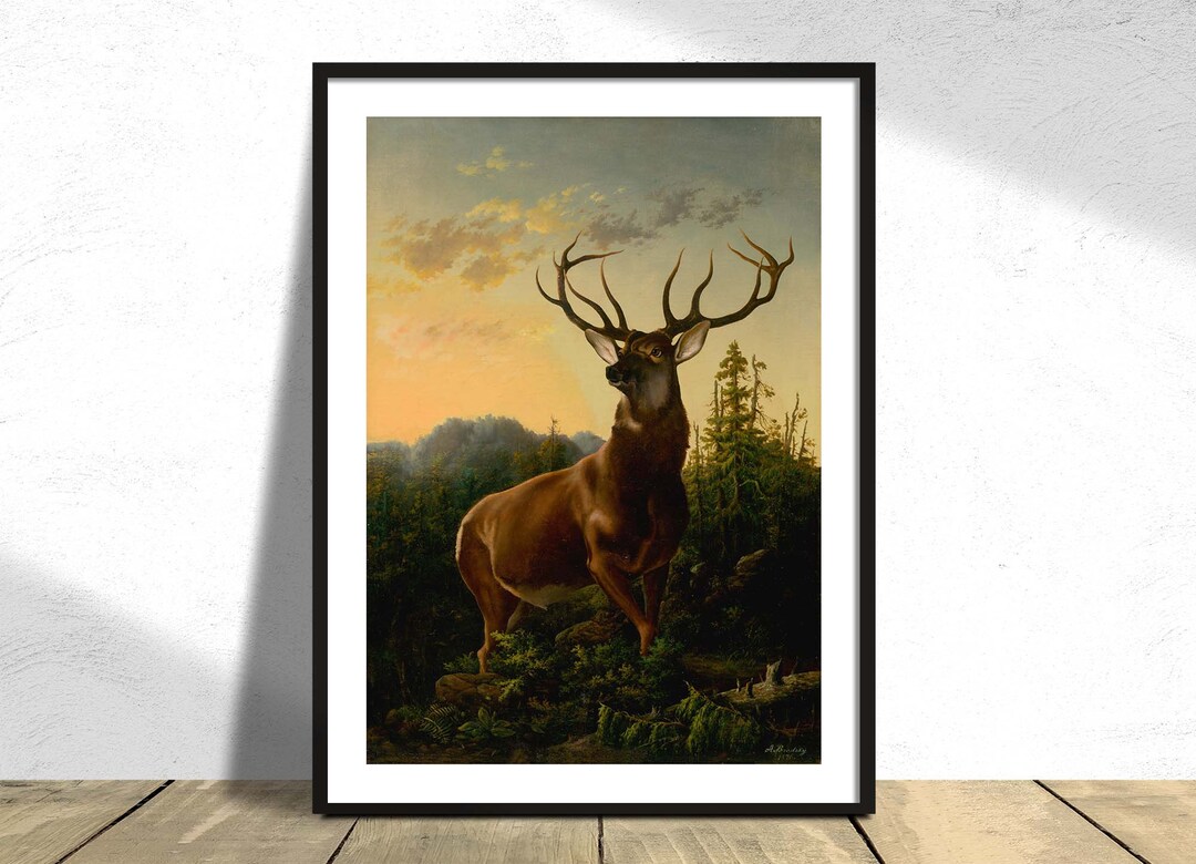 Deer in Forest Landscape - Alexander Brodszky I Wild Animal, Botanical ...
