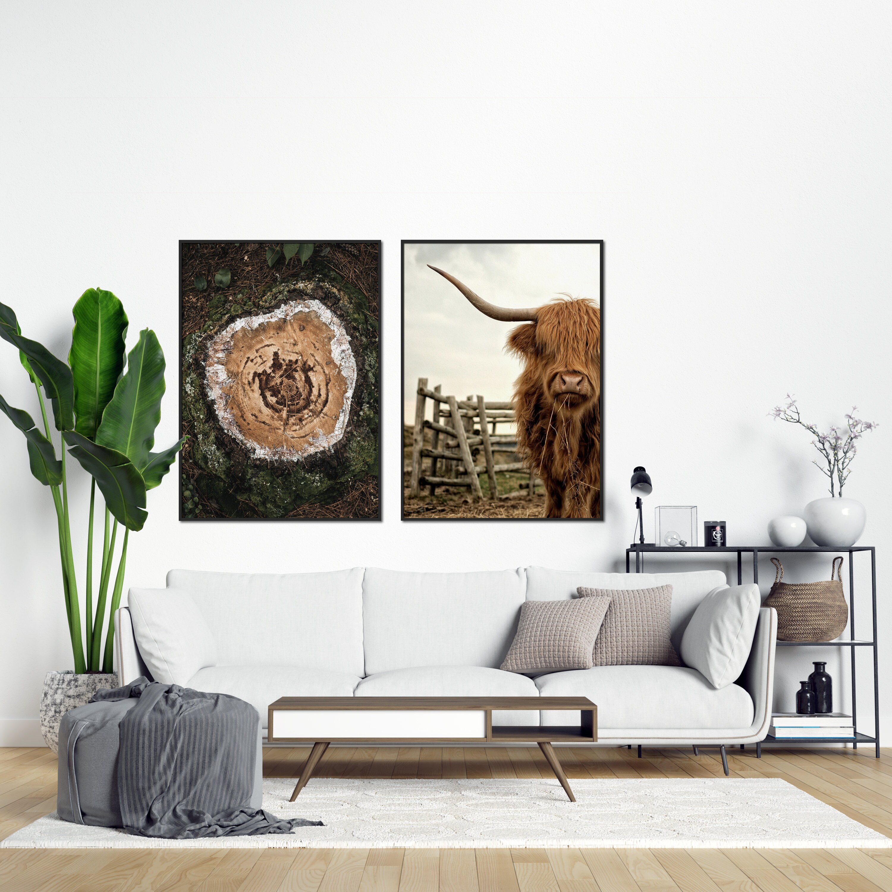 Highland Cow Amazing Boho Natural Beige Printed Poster in - Etsy