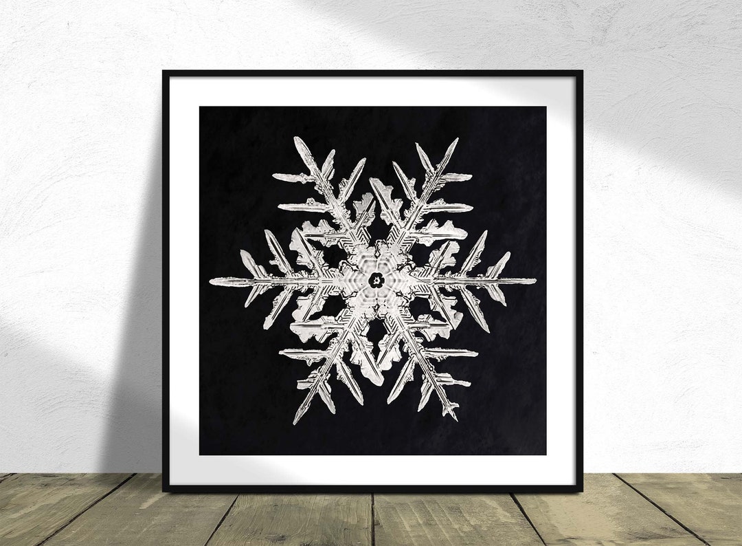 Snowflake 332 - Wilson Bentley I Square Print, Square Poster, Snow ...
