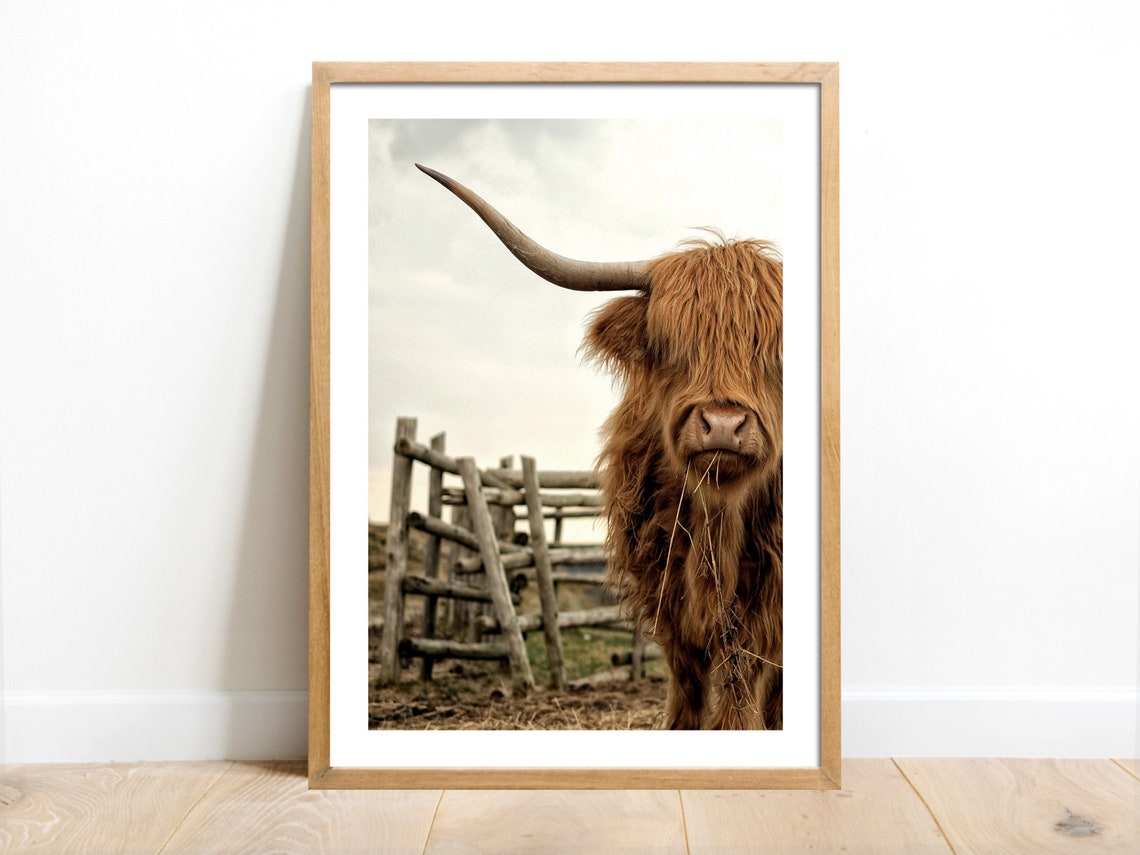 Highland Cow Amazing Boho Natural Beige Printed Poster in - Etsy
