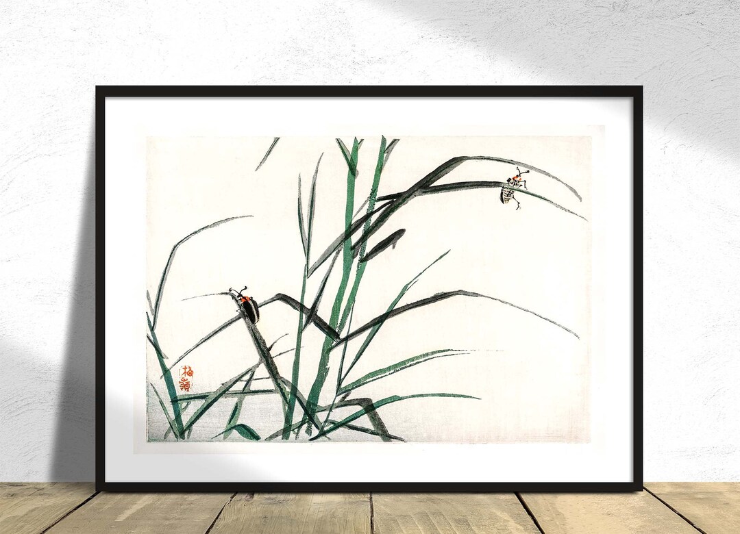 Beetles - Kōno Bairei | Japanese Art, Vintage Decoration, Poster ...