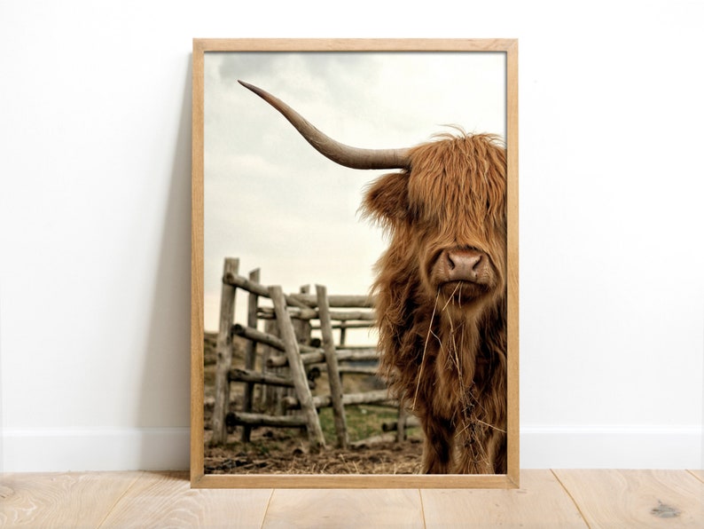 Highland Cow Amazing Boho Natural Beige Printed Poster in - Etsy