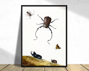 Stink Bug Art Print - Etsy