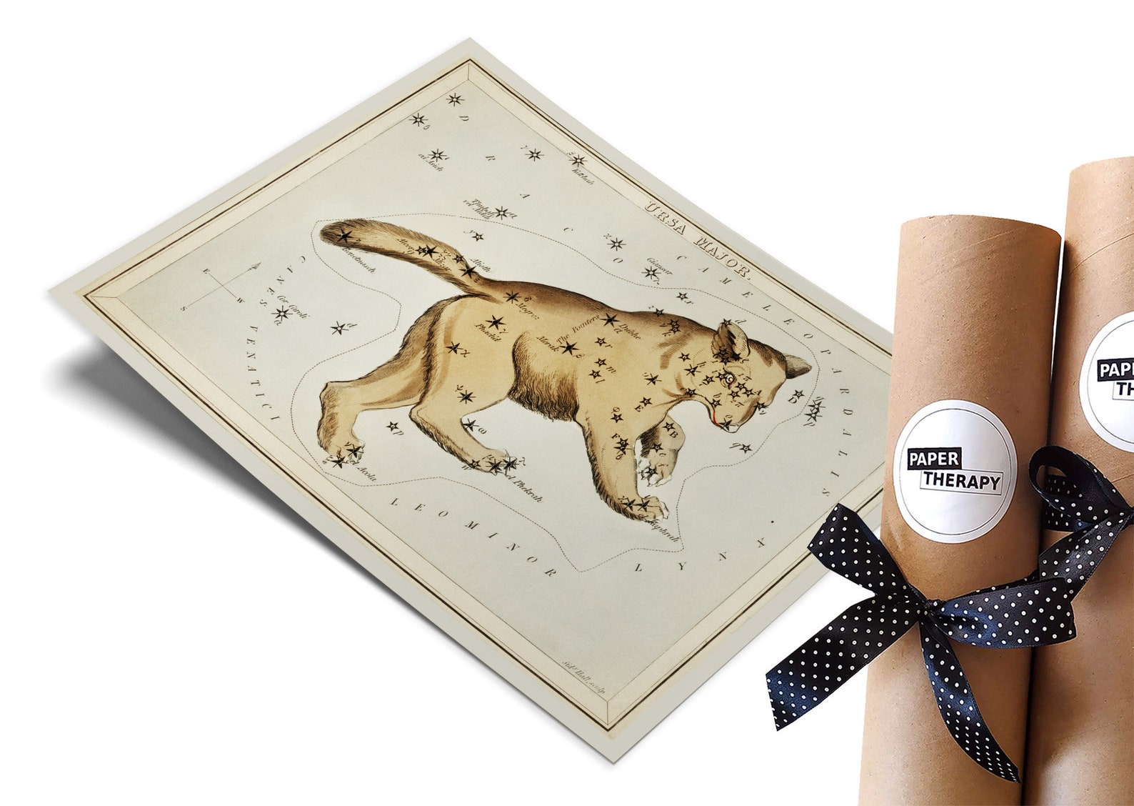 Astronomical Chart Illustration of the Ursa Major Sidney Hal - Etsy