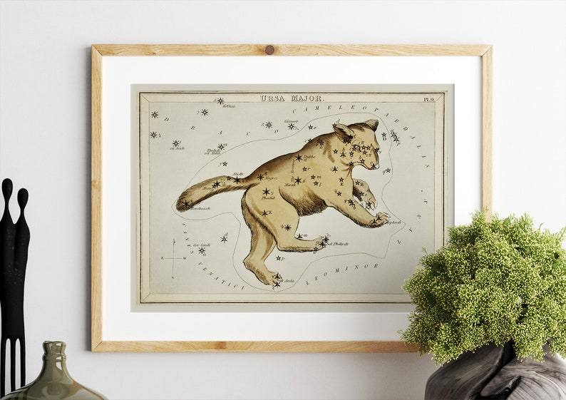 Astronomical Chart Illustration of the Ursa Major Sidney Hal - Etsy