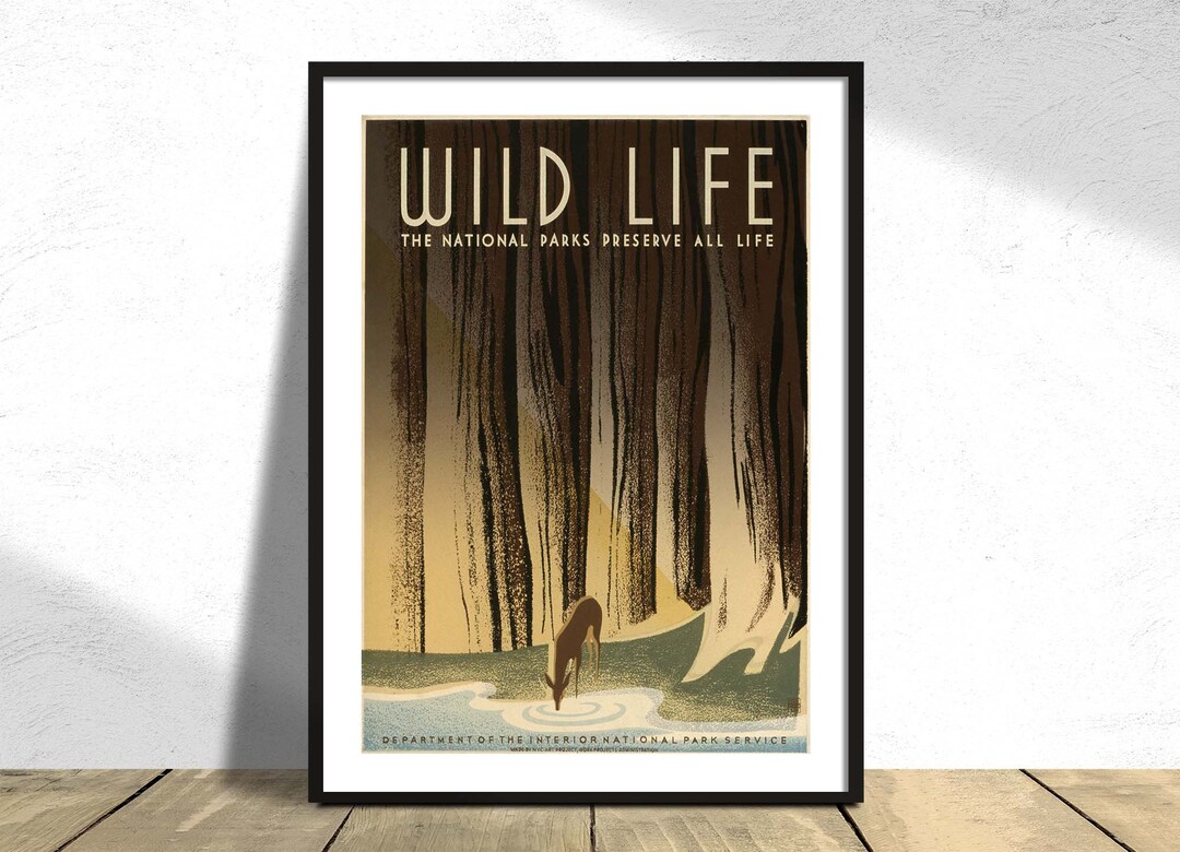 Wild Life the National Parks Preserve All Life. Poster for United ...