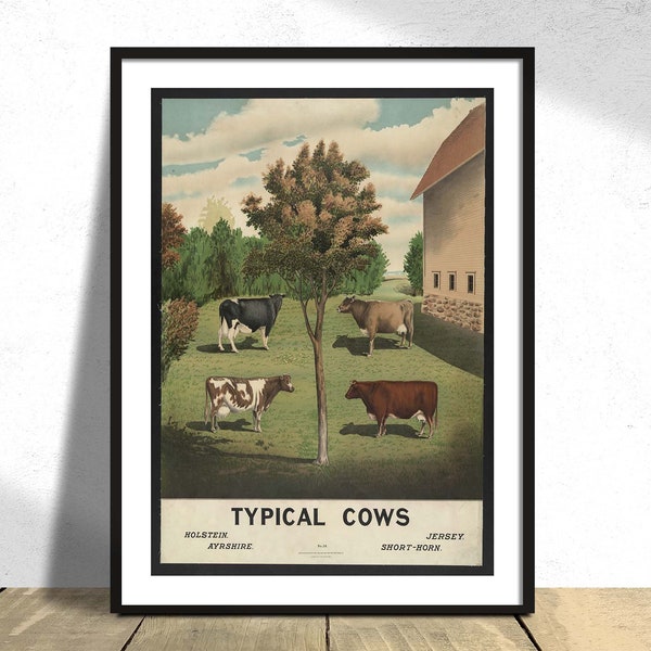Vintage Wall Poster Cattle - Etsy
