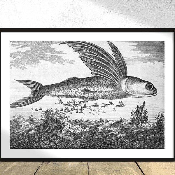Flying Fish Print - Etsy